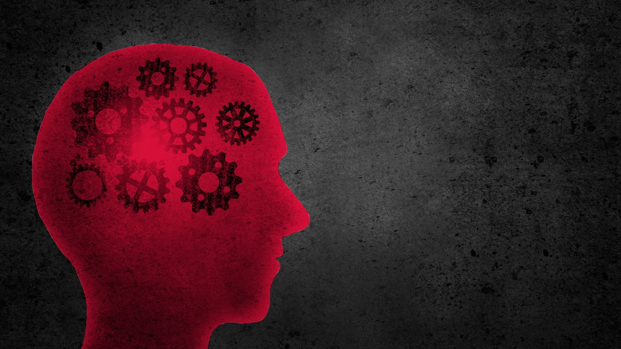 Mysteries of the mind: unlocking clues of cognitive dysfunction risk & mental disorders | UNM ...